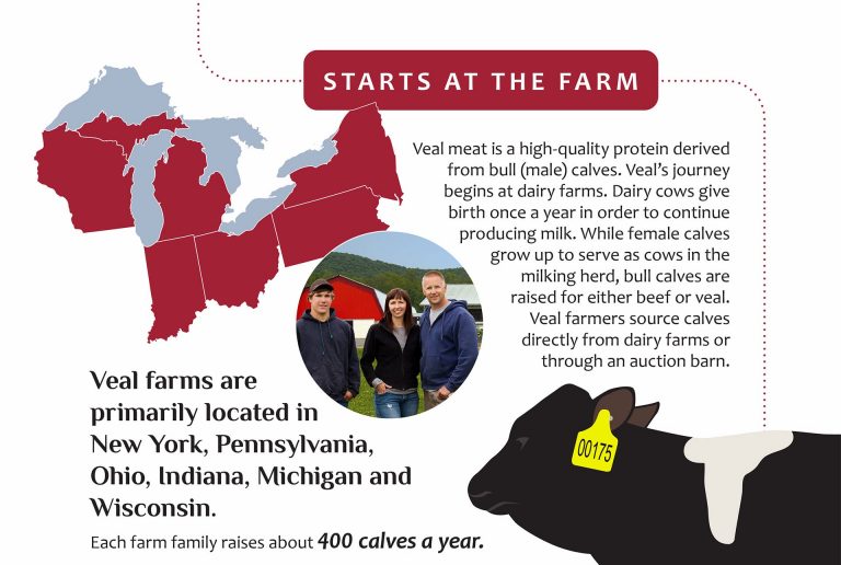 Veal's Journey - Veal – Discover Delicious